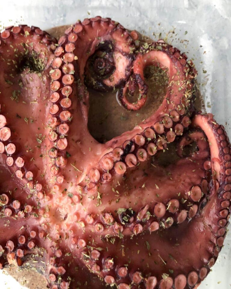 Greek Style Marinated Octopus Recipe - ririsgreekeats.com